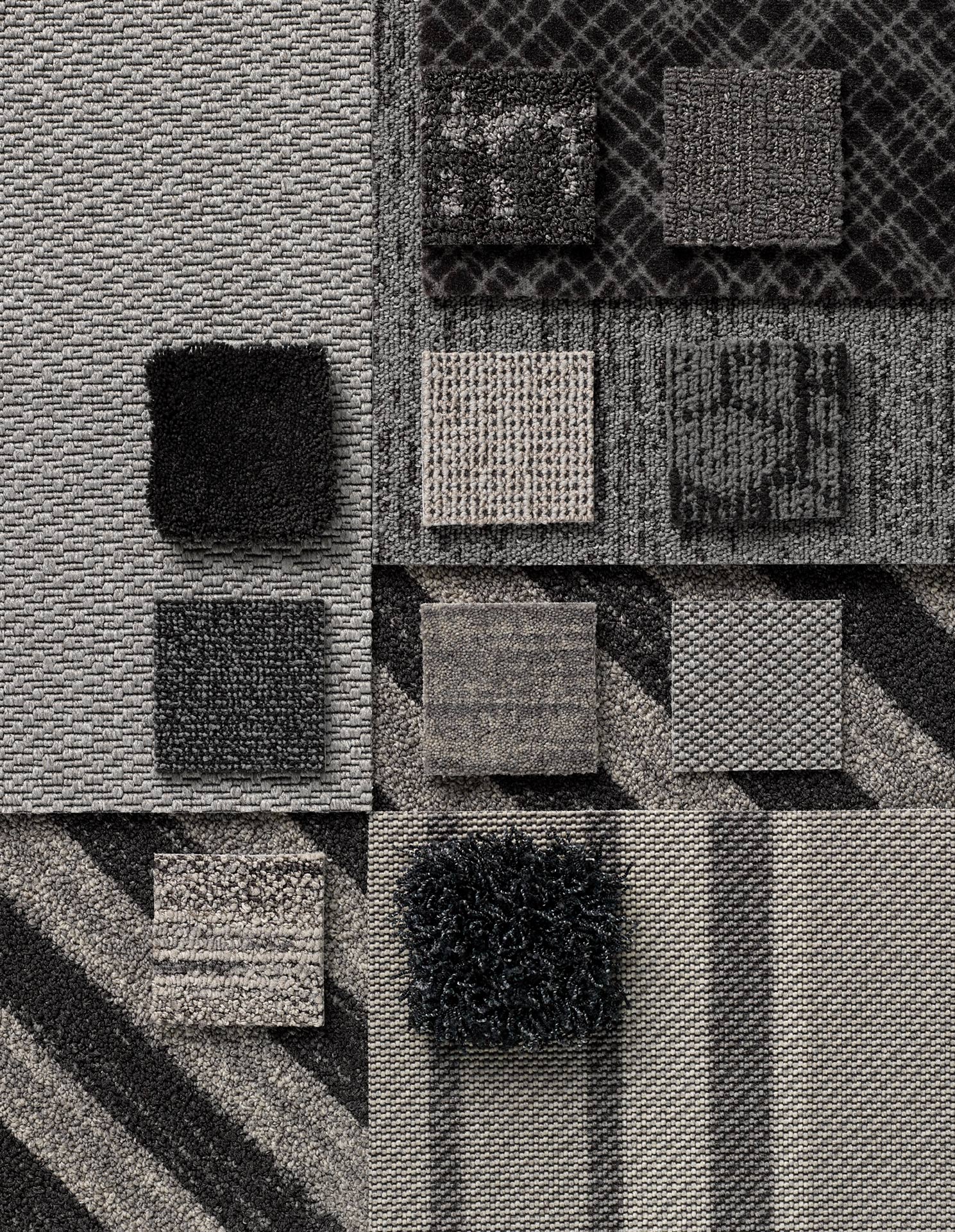 EGE Highline Essentials - Carpet Studio