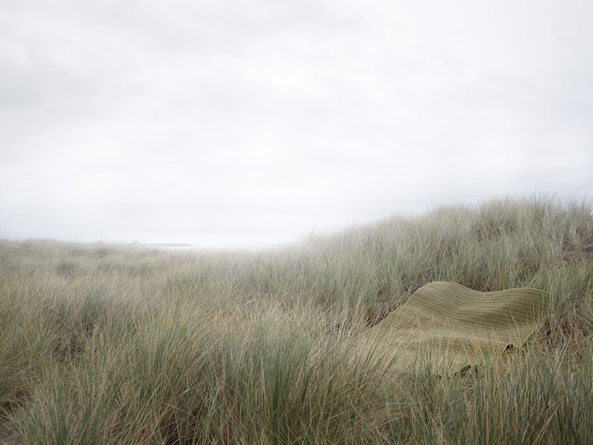 EGE ReForm A New Wave - Carpet Studio